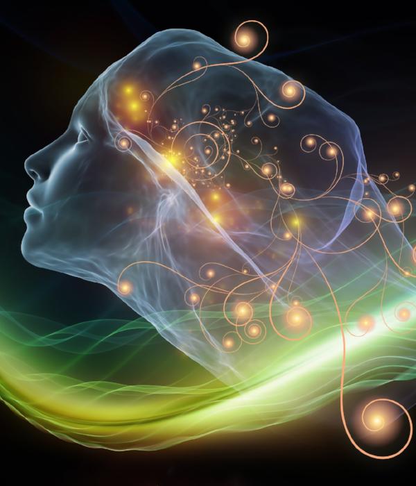 Health & Harmony Colleges: Holistic Approach To Well-Being